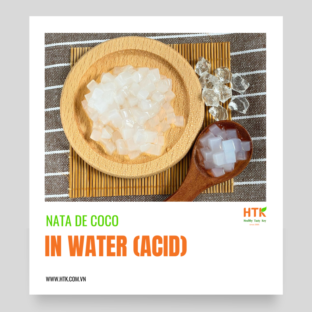NATA DE COCO IN WATER – HTK FOOD